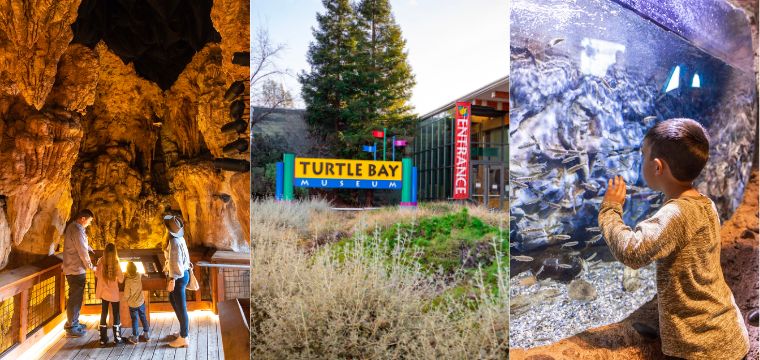 Turtle Bay Exploration Park