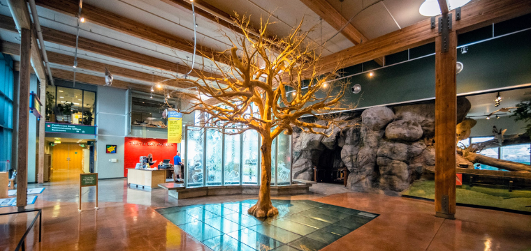 Turtle Bay Exploration Park