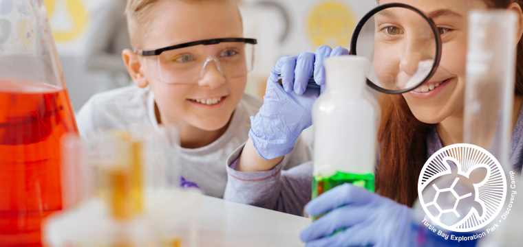 Turtle Bay Exploration Park